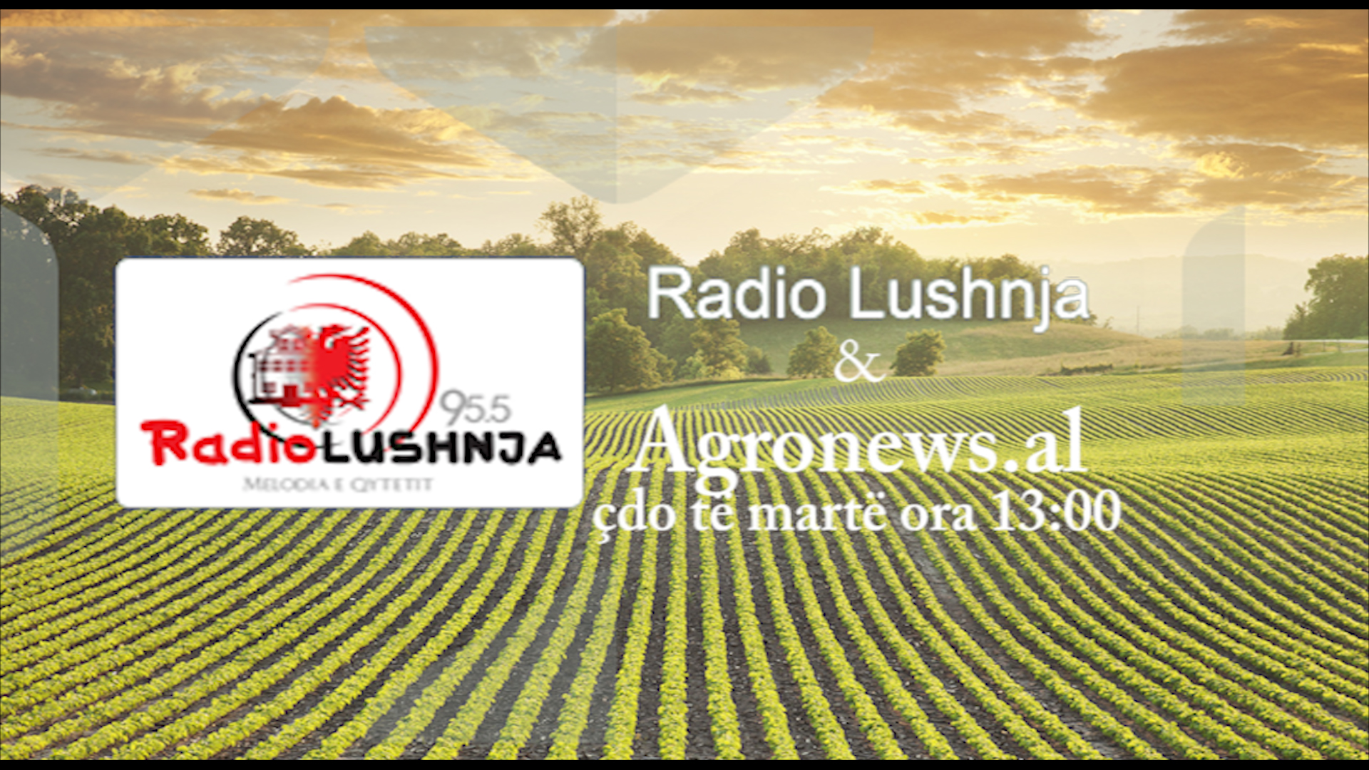 Specialisti i bimëve në Agronews, e martë ora 13:00 në radio Lushnja ... Specialisti i bimëve në Agronews, e martë ora 13:00 në radio Lushnja ...