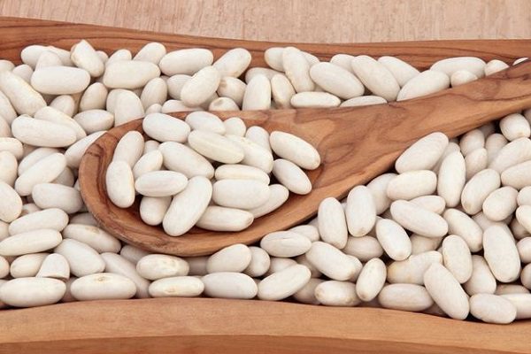 Fasulet e bardha dhe vlerat per shendetin - AgroNews.Al