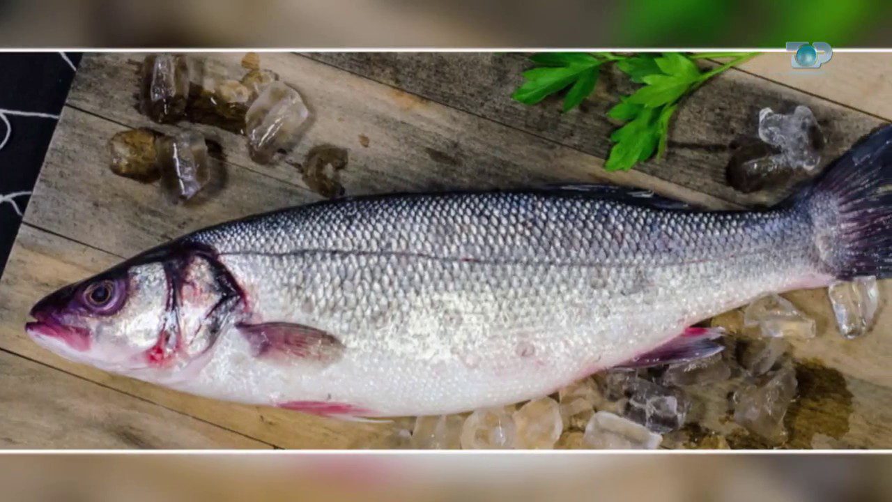 Peshqit e Jonit dhe Adriatikut, pasuri e hapësirës së mrekullueshme ...
