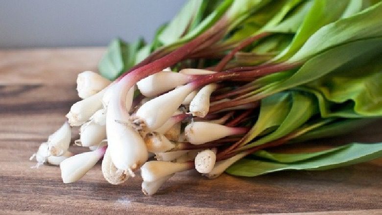 Hudhra e eger, sheruesja e plotfuqishme per stomakun - AgroNews.Al