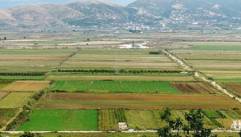 Ekonomia e Shqiperise primitive, bujqesia dominon 19% te PBB-se, me e ...