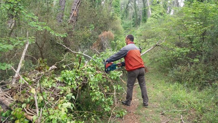 Pylli i Divjakes, me specie e shtigje te reja i gatshem per vizitoret ...