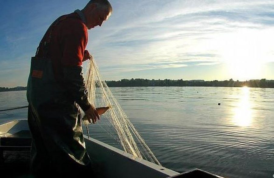 Aplikim online per te ushtruar aktivitetin e peshkimit – Dokumentacioni ...