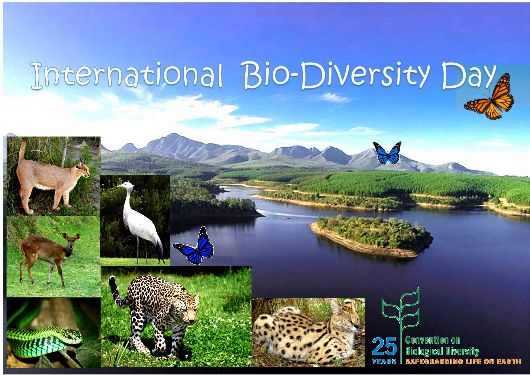 Natyra ne krize, Raporti i Vleresimit Global mbi Biodiversitetin dhe ...