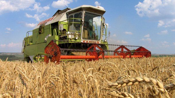 Pergjysmohet siperfaqja e tokes se mbjelle me grure ne Kosove - AgroNews.Al