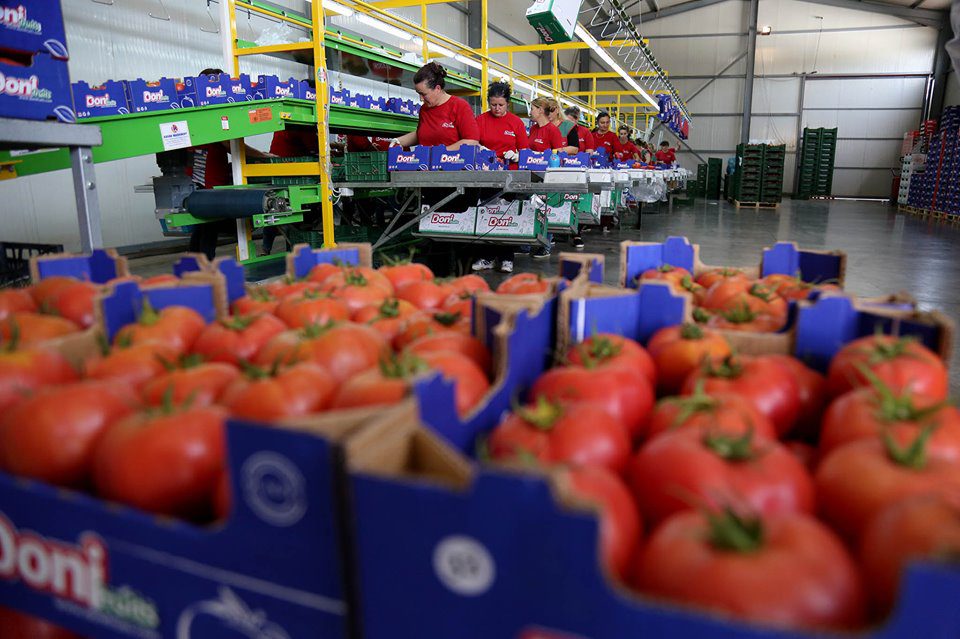 "Doni Fruits" Kompania lider e eksportit te fruta-perimeve Shqiptare ...