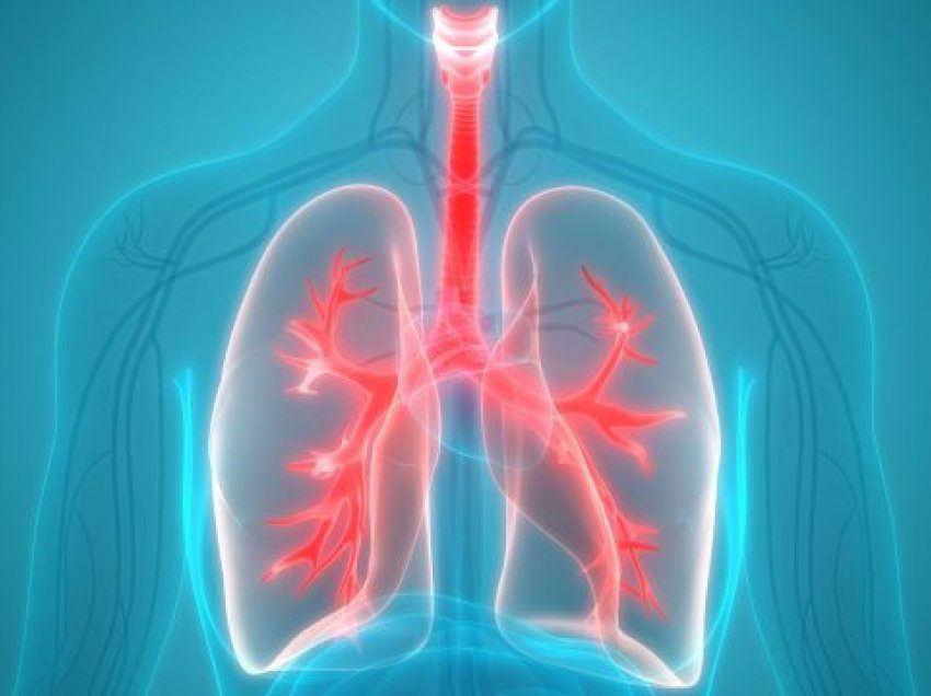 Ushqimet qe pastrojne rrenjesisht mushkerite! - AgroNews.Al