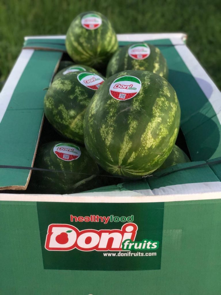 "Doni Fruits" Kompania lider e eksportit te fruta-perimeve Shqiptare ...