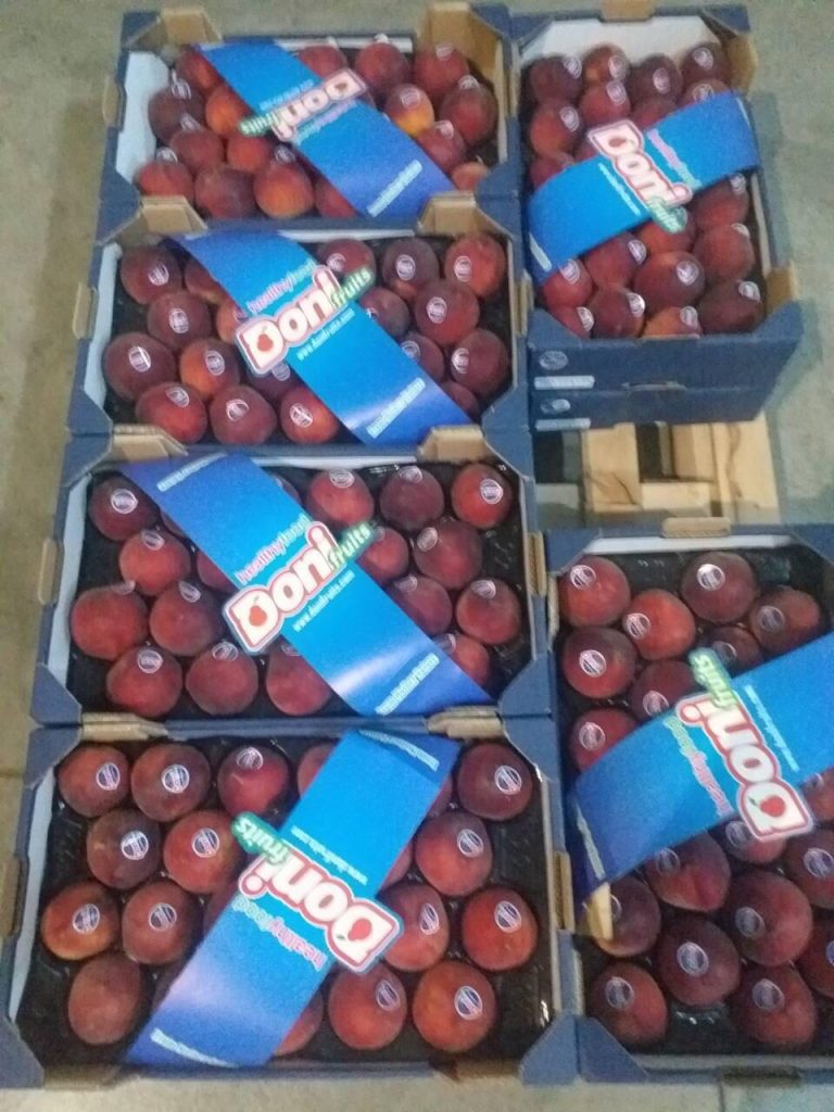"Doni Fruits" Kompania lider e eksportit te fruta-perimeve Shqiptare ...