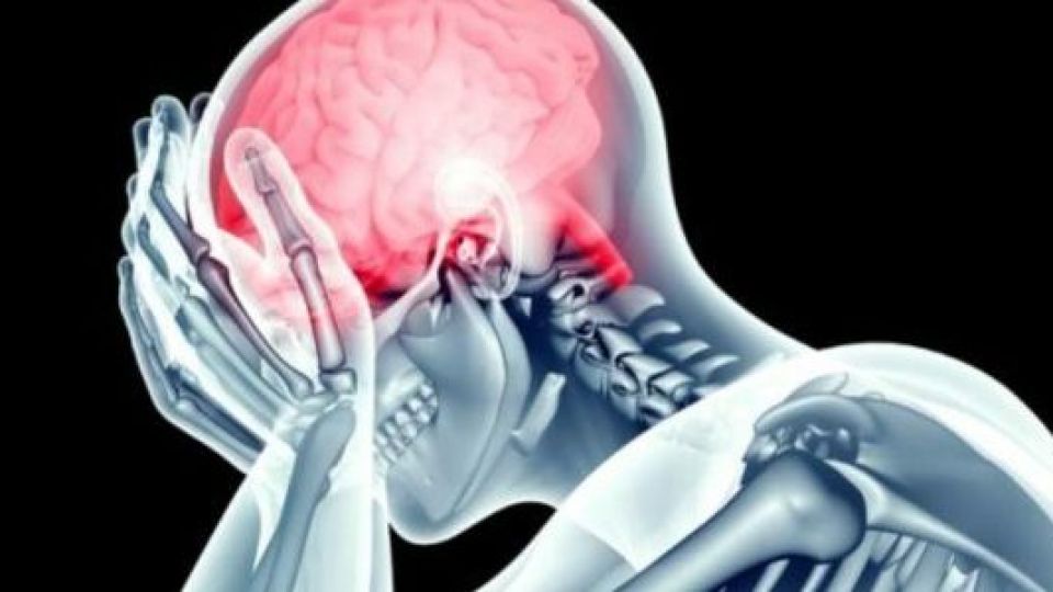 Truri mund te zvogelohet nga stresi - AgroNews.Al