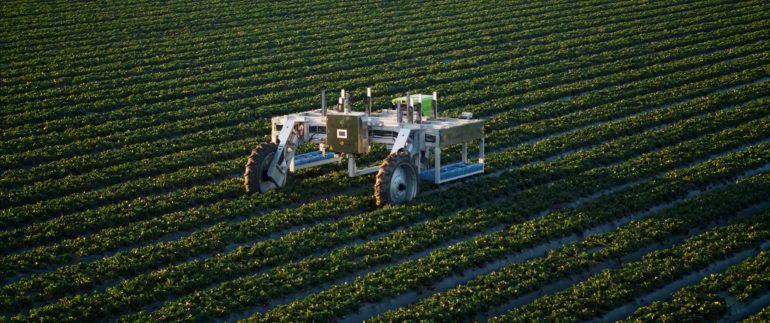 "Agrobot", Roboti gjigand me 24 krahe qe arrin te mbledhe 8 ha luleshtrydhe per 3 dite ...