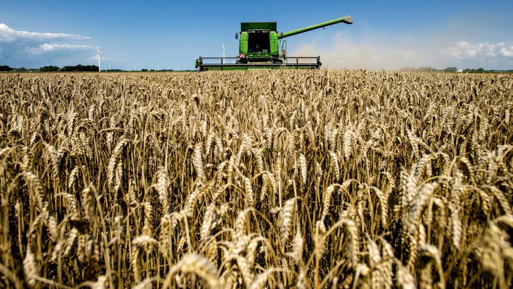 Koronavirus/ Gruri tani po vlen me shume sesa karburanti - AgroNews.Al