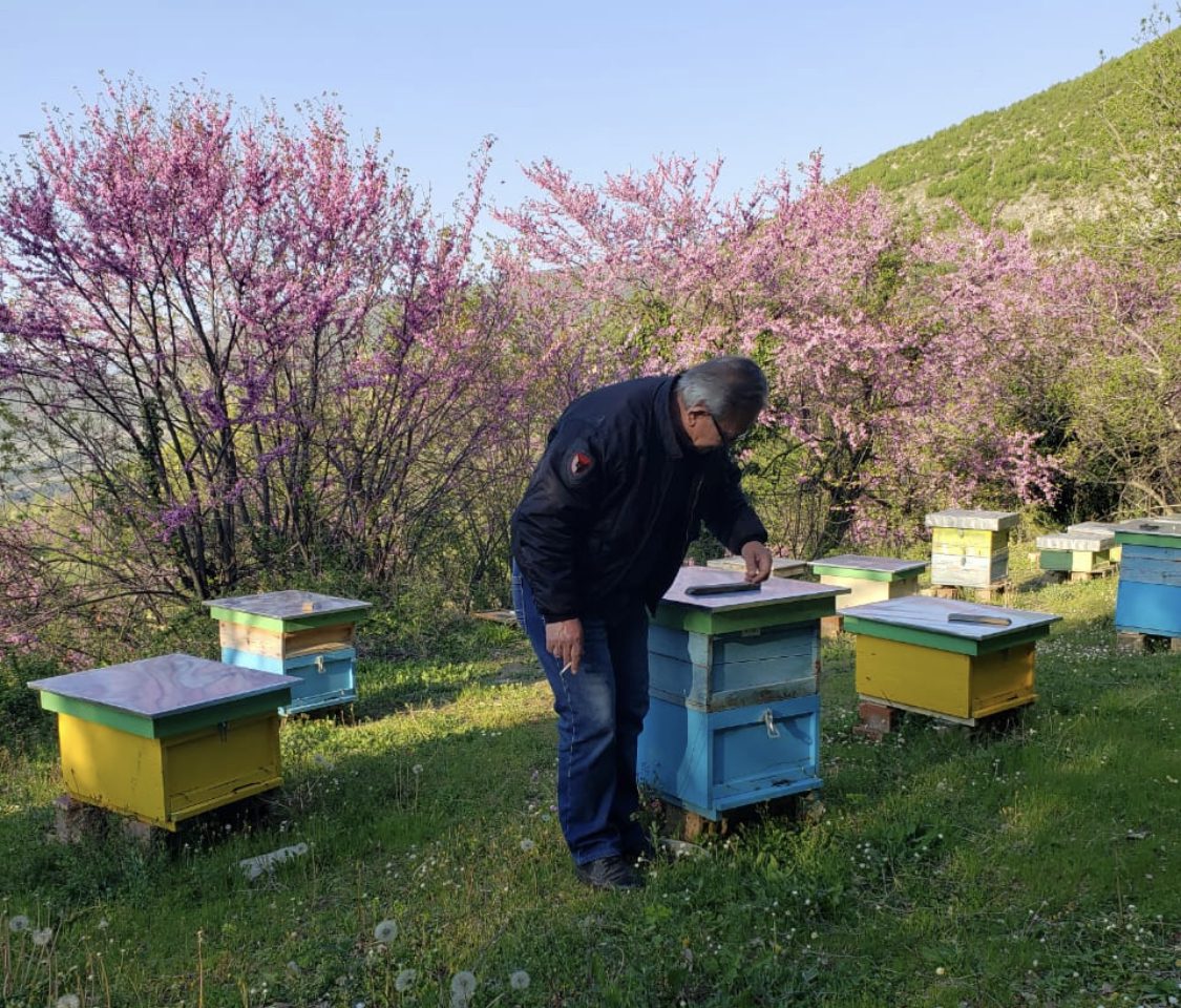 Bletaria, Pasioni dhe tradita mposhtin veshtiresite e sektorit te embel ...