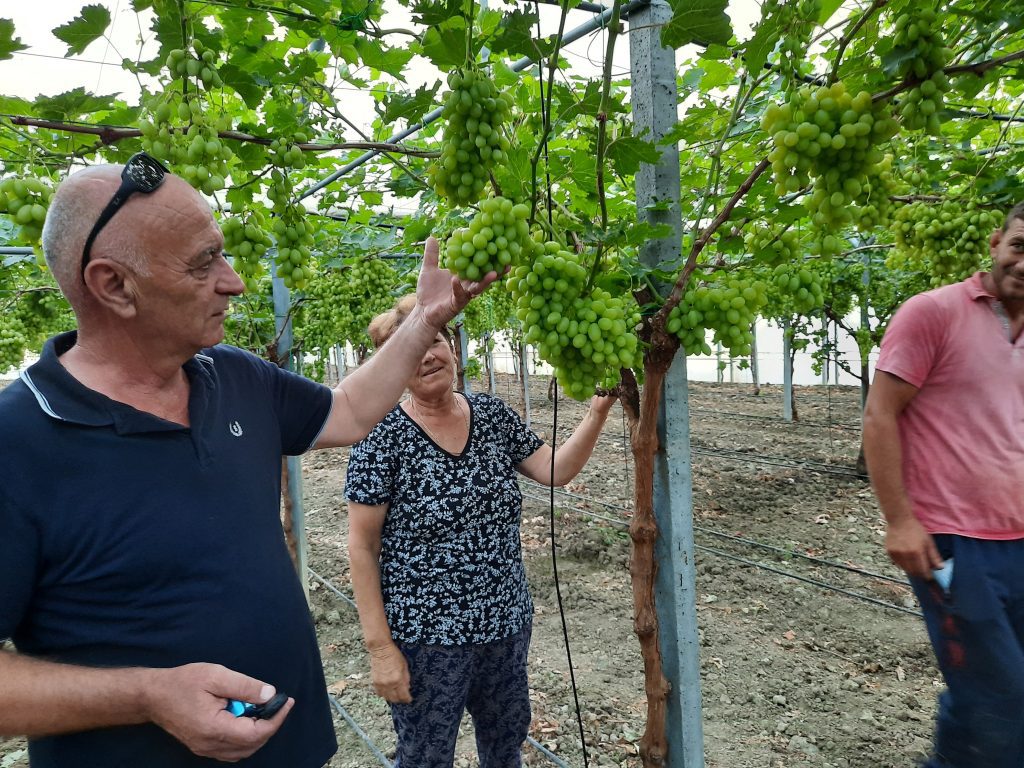 Rrushi ne sera dhe bashkepunimi me specialistet eshte suksesi i ...