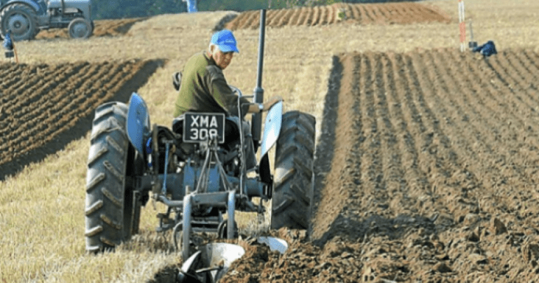 Kultivimi i grurit - Keshillat e specialisteve per fermeret - AgroNews.Al