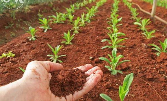 Rendesia e analizave te tokes dhe ujit ne bujqesi! - AgroNews.Al